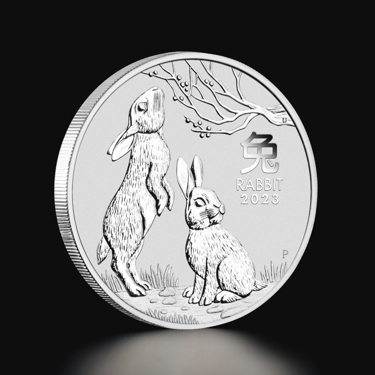 1 oz Australian Lunar Year of the Rabbit 2023 Silver Coin - Tavex Norway